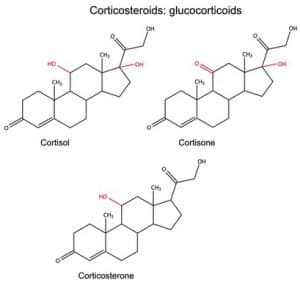 Should You Worry About Scary Corticosteroid Side Effects? | The People ...